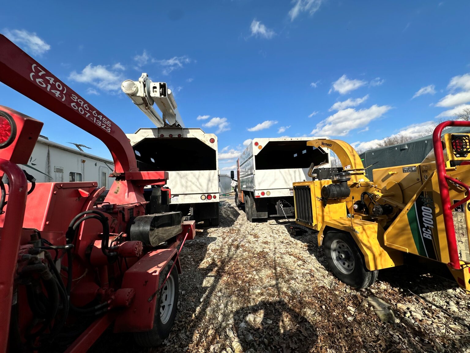 Tree-Trimming Company Thrives and Gives Back to Community | MarionMade