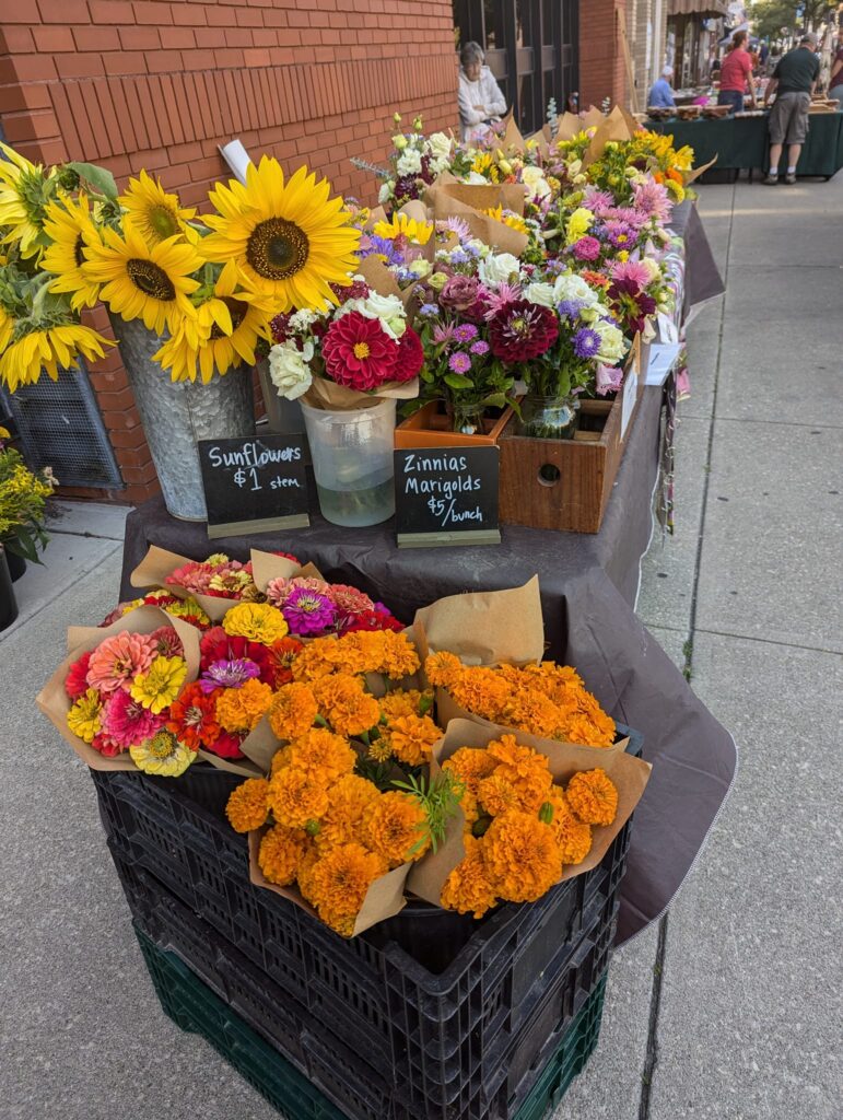 Local Woman Cultivates New Life at Frontier Farm Flowers | MarionMade