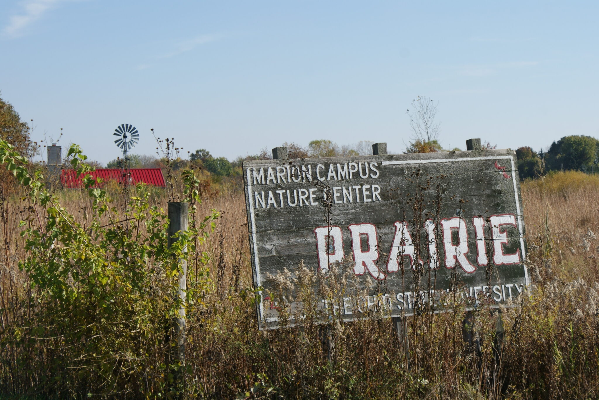 Marion Campus Prairie: a Legacy of Conservation and Education | MarionMade